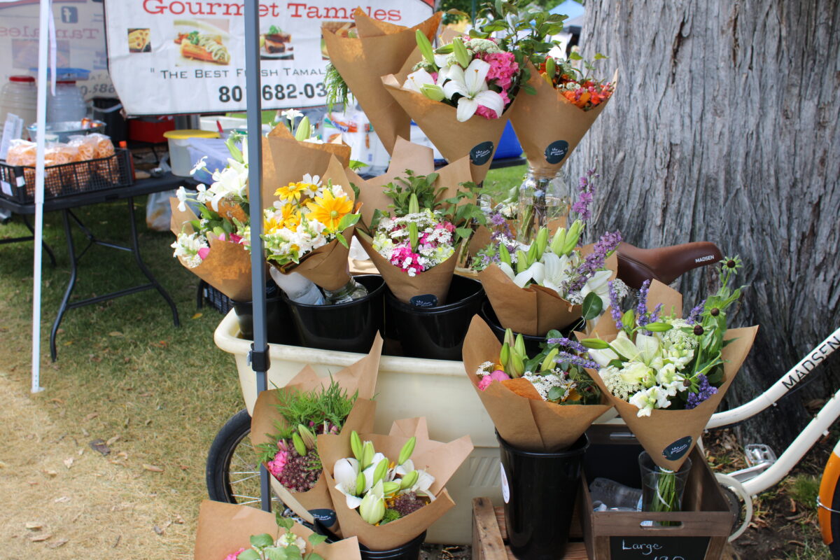 Provo Farmers Market opens Saturday; lots of local vendors | News ...